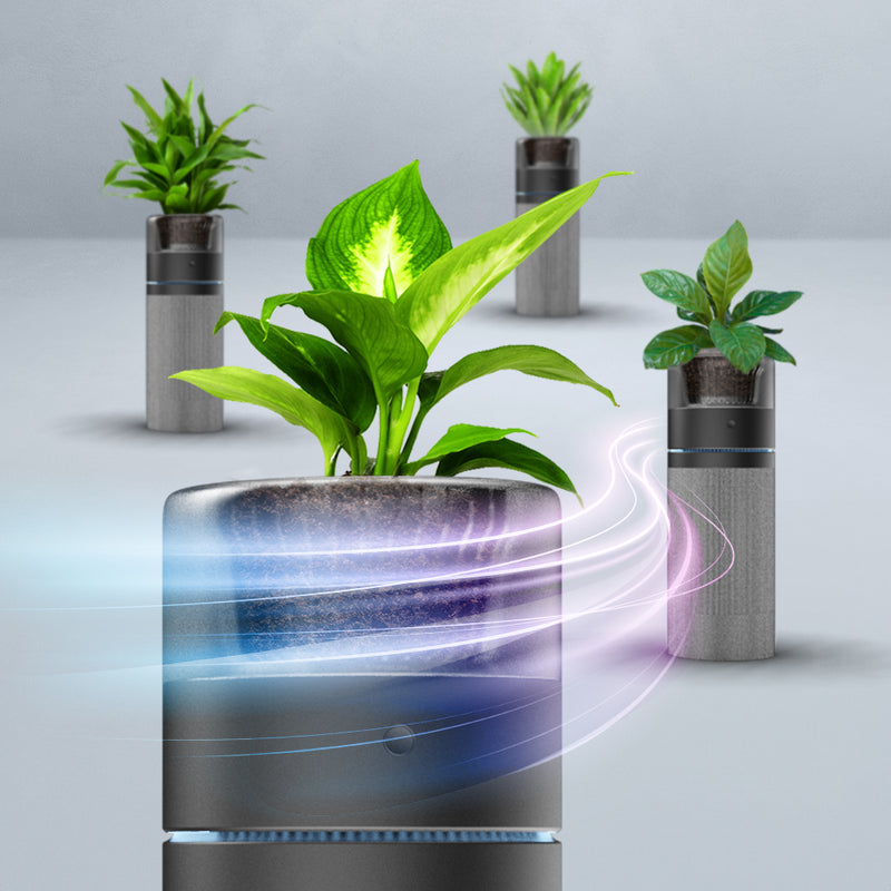 【PrimeZone】O2 Purifier 空氣清淨機